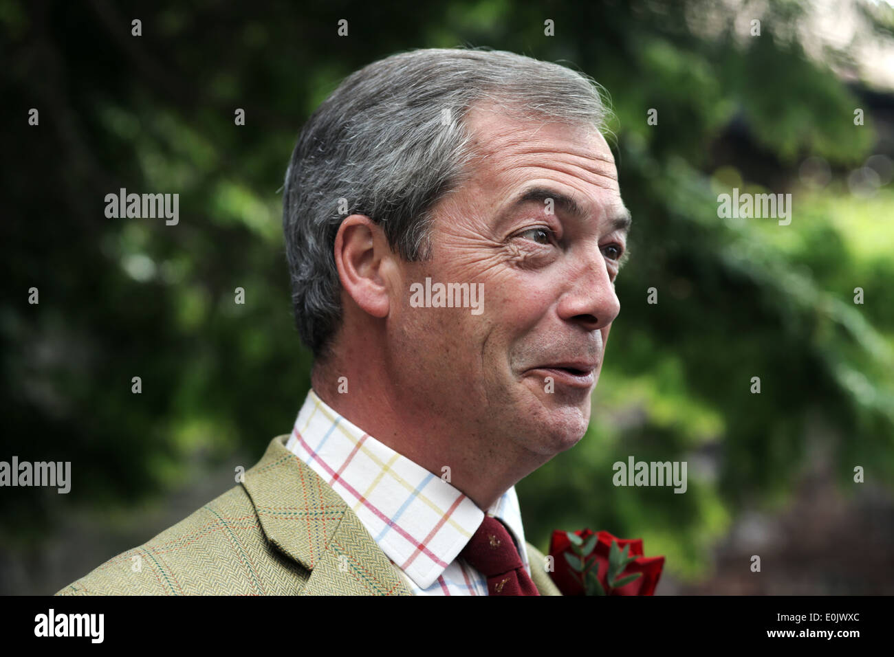 Leader of the UKIP Party, Nigel Farage MEP in the Black Bull pub, Yarm ...