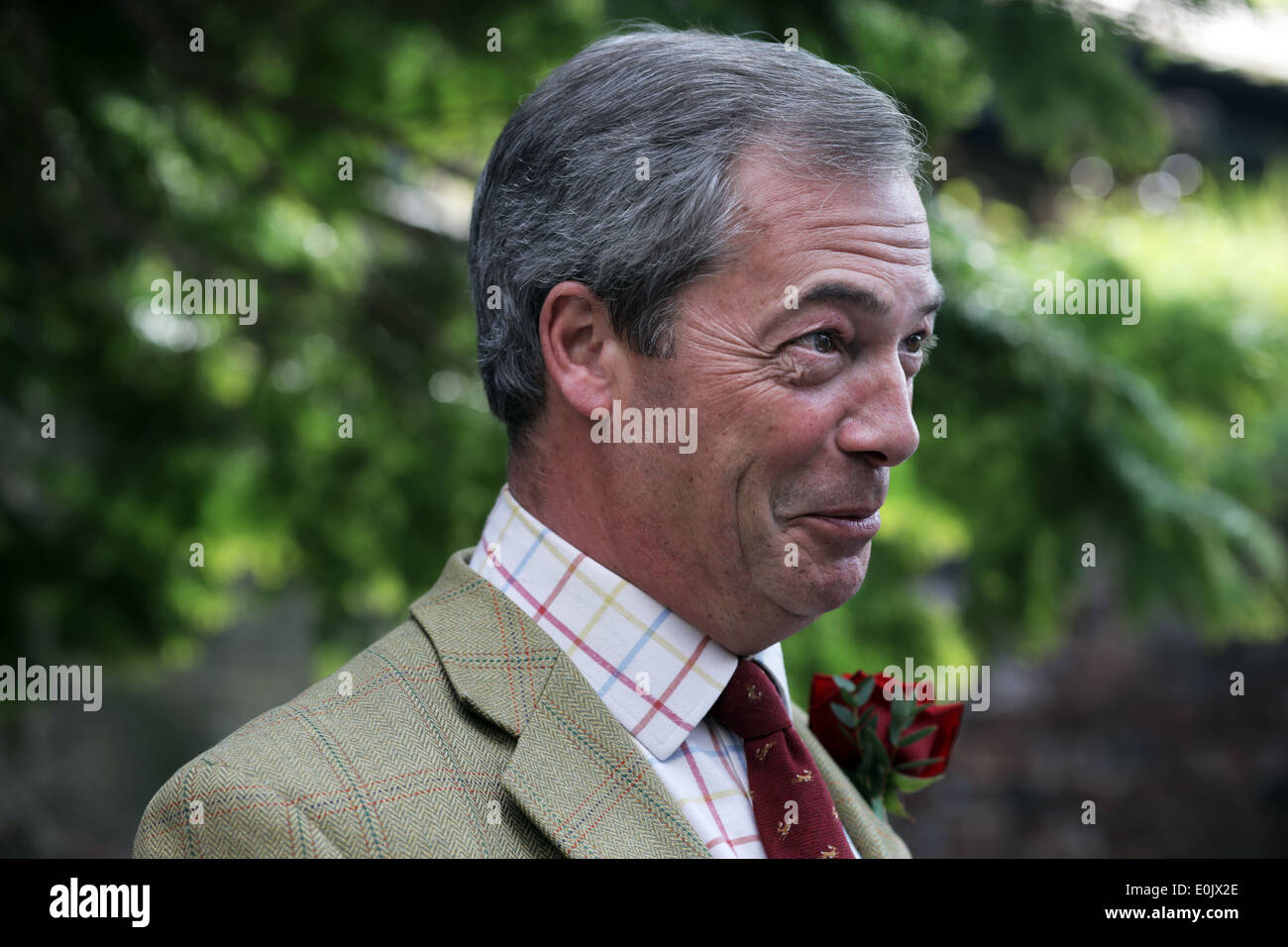 Leader of the UKIP Party, Nigel Farage MEP in the Black Bull pub, Yarm ...