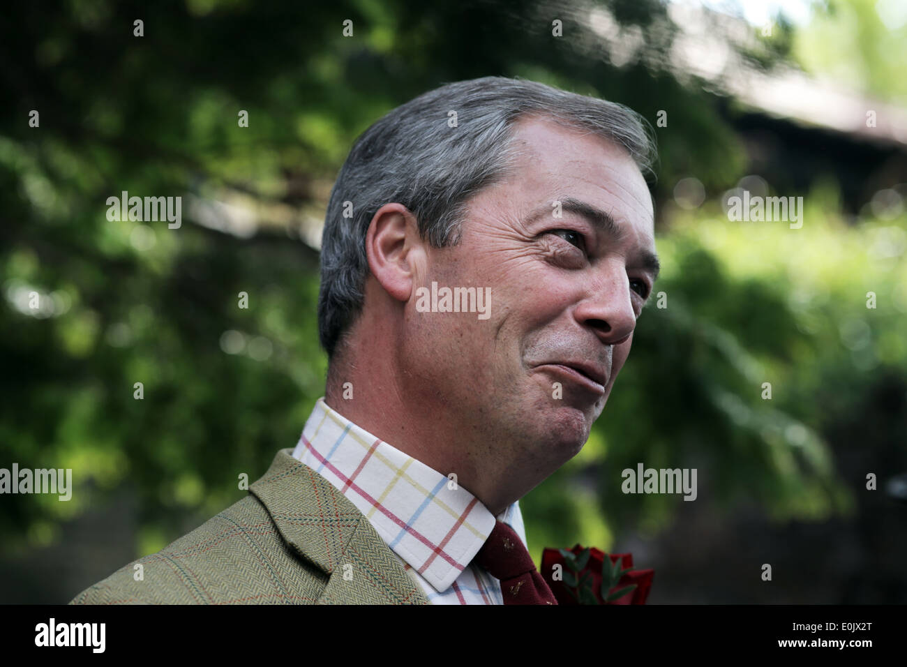 Leader of the UKIP Party, Nigel Farage MEP in the Black Bull pub, Yarm ...