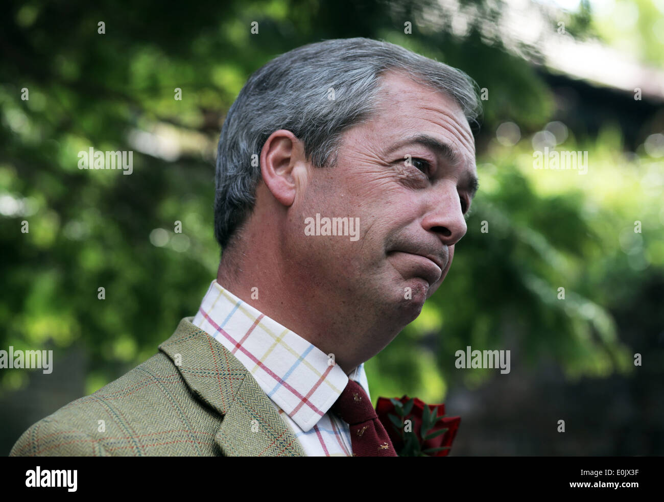 Leader of the UKIP Party, Nigel Farage MEP in the Black Bull pub, Yarm ...
