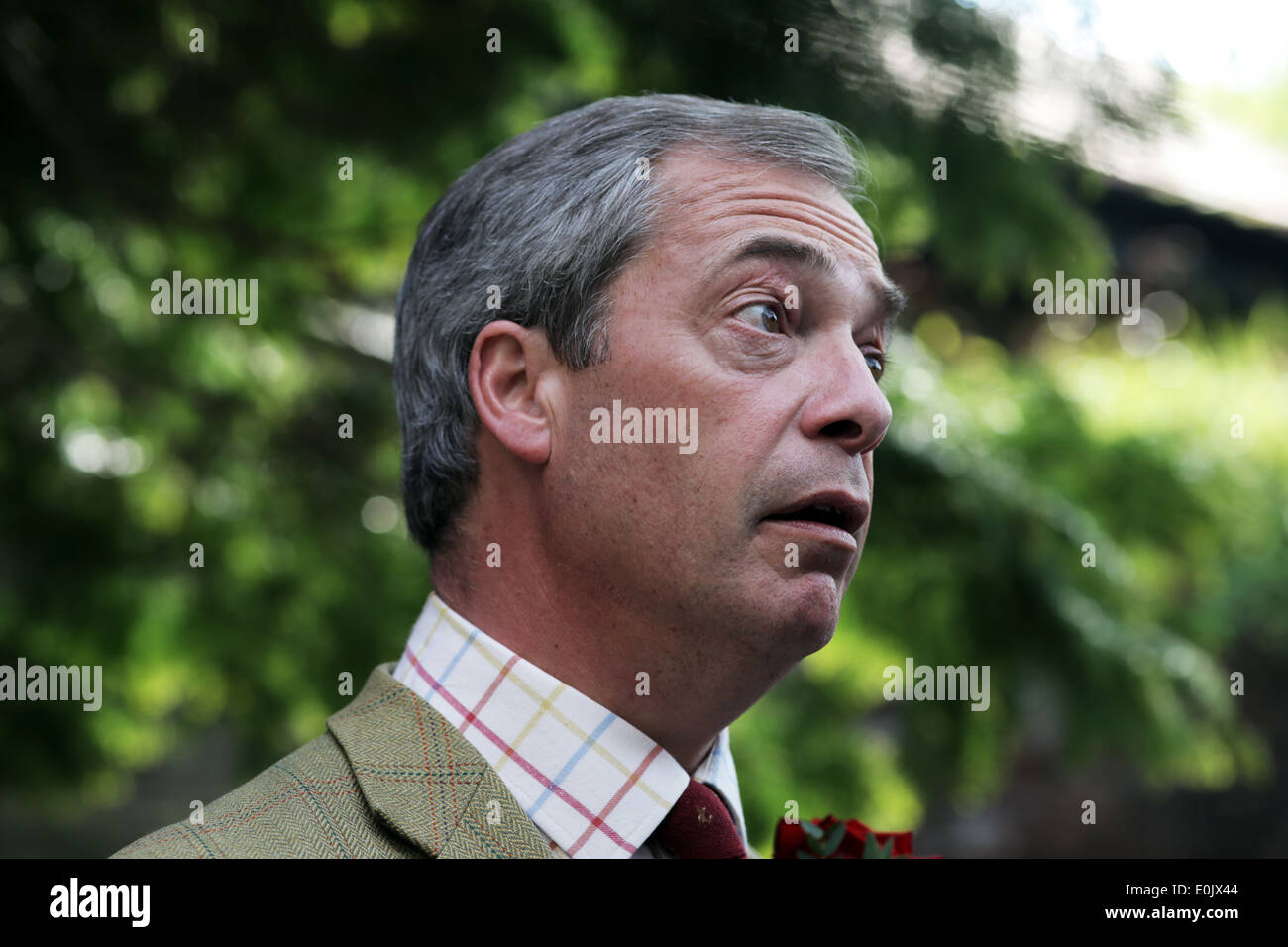 Leader of the UKIP Party, Nigel Farage MEP in the Black Bull pub, Yarm ...
