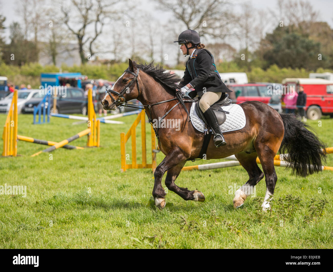 Helston Flora Horse Show 2014, British Show Jumping Event, Held at ...