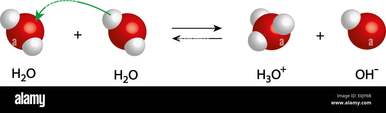 illustration of chemical equilibrium of water Stock Photo - Alamy