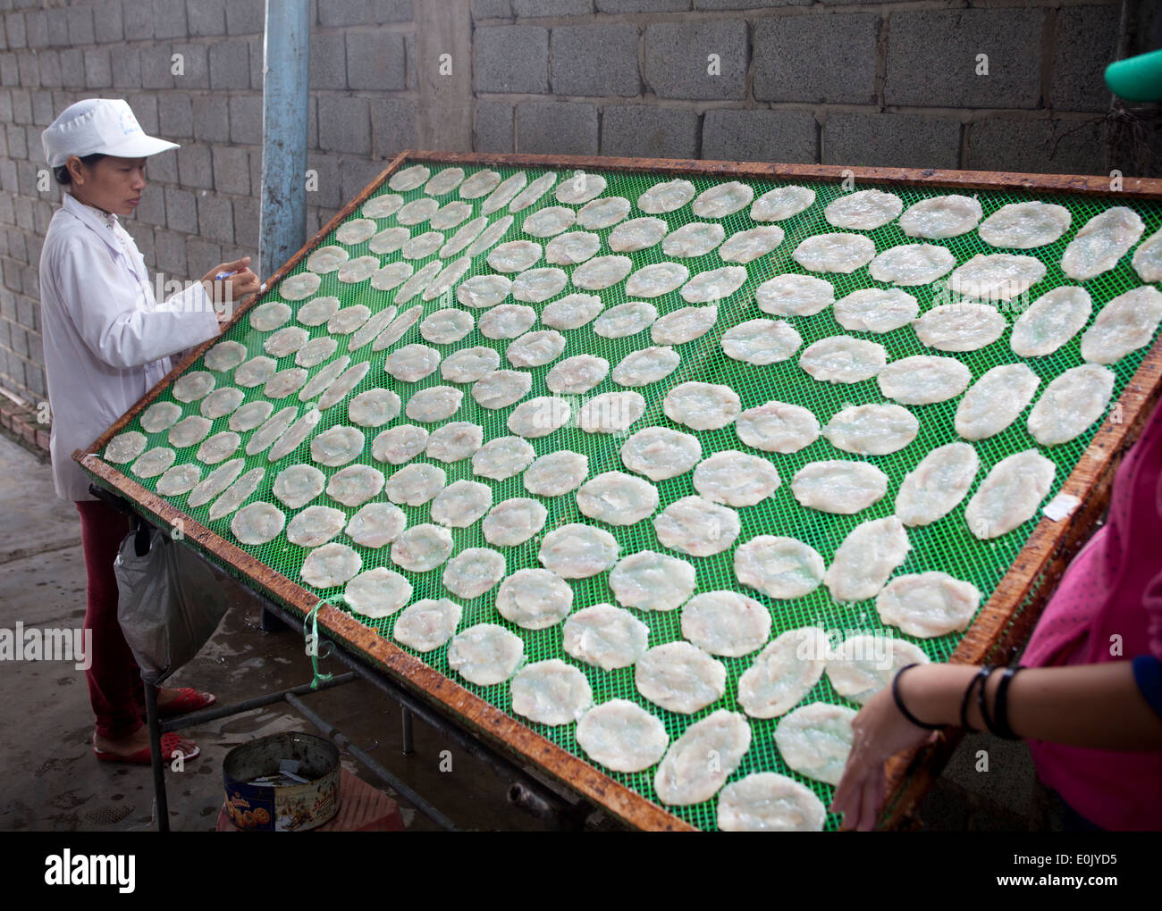 Fish Processing Factory Hoi An Vietnam Stock Photo - Alamy