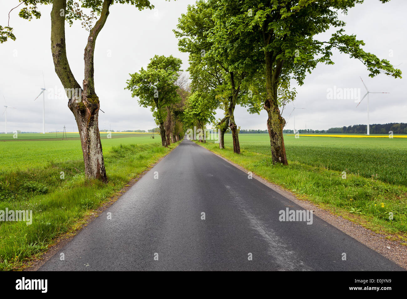 Windy road hi-res stock photography and images - Alamy