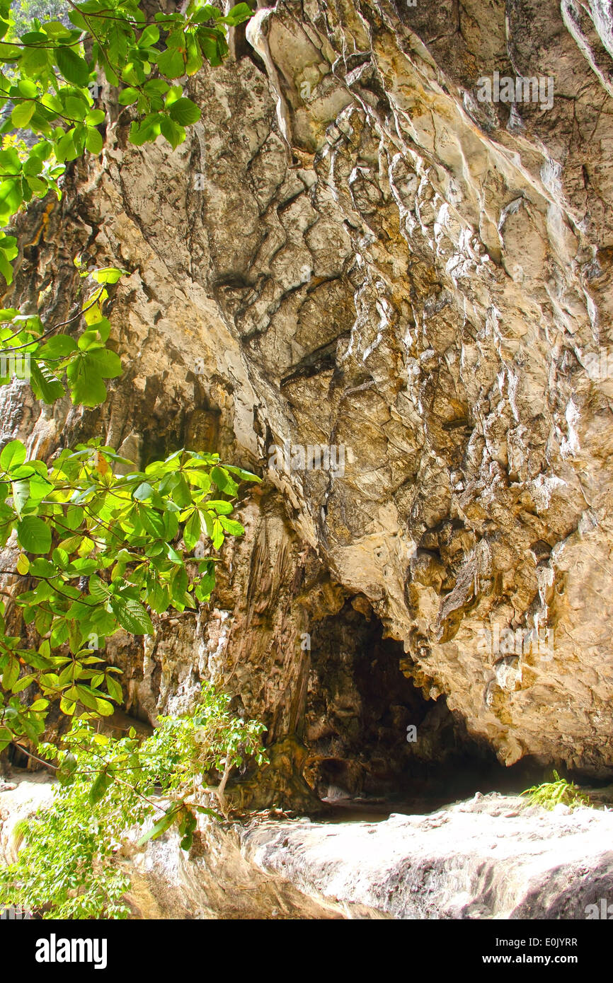 Limestone cave structure of tropical beach at island with growing trees ...
