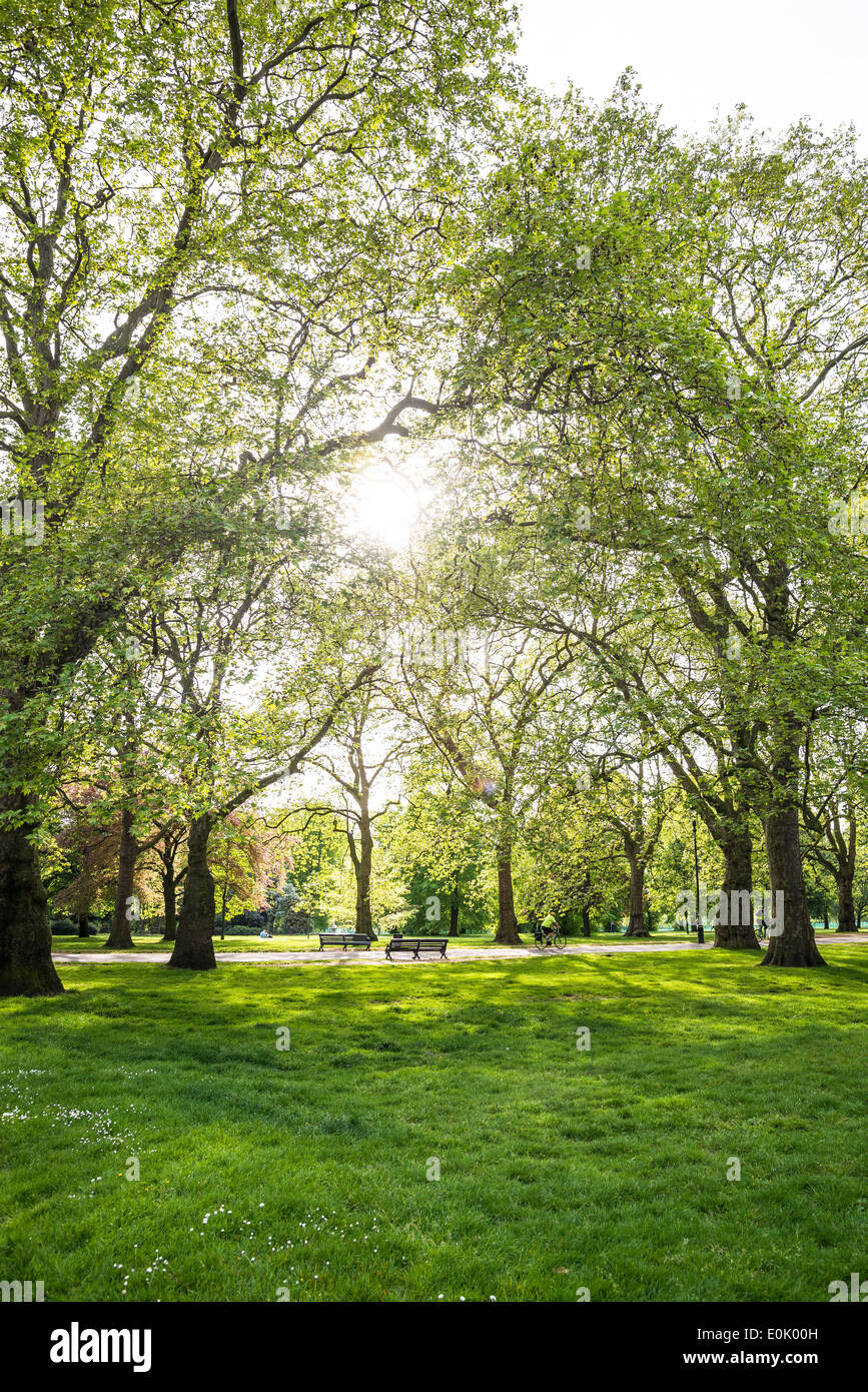 Hyde park beautiful spring hi-res stock photography and images - Alamy