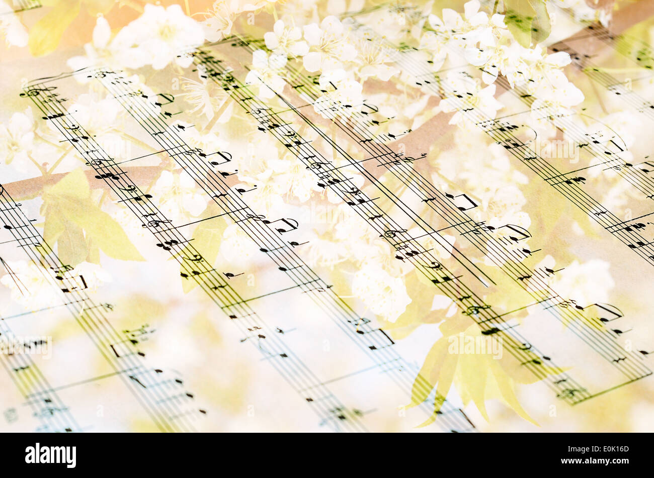 Music sheet against flowering tree- art background Stock Photo - Alamy