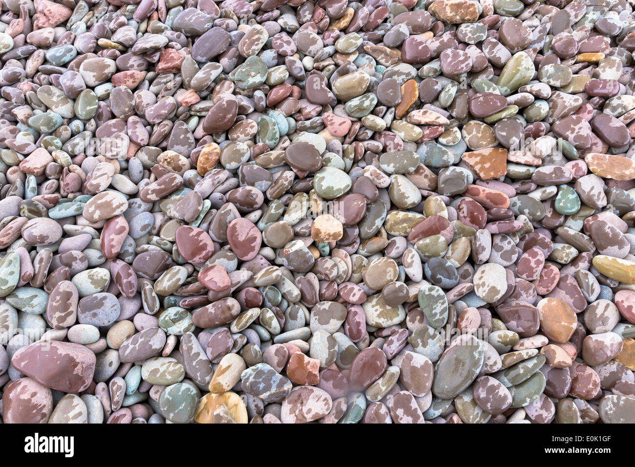 Raindrops on pebbles make a splash of colour as rain starts to fall on ...