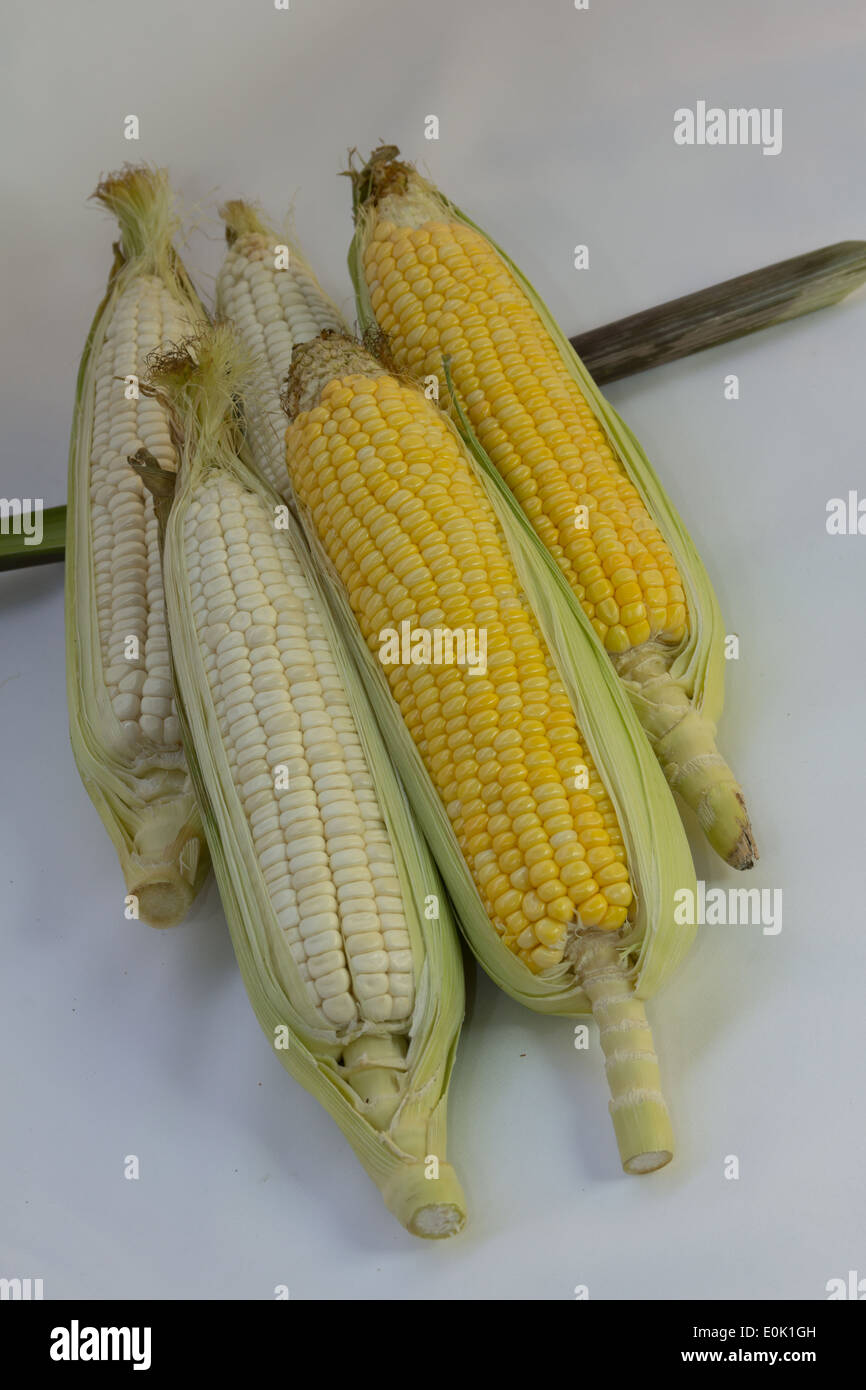 Food corn hi-res stock photography and images - Alamy