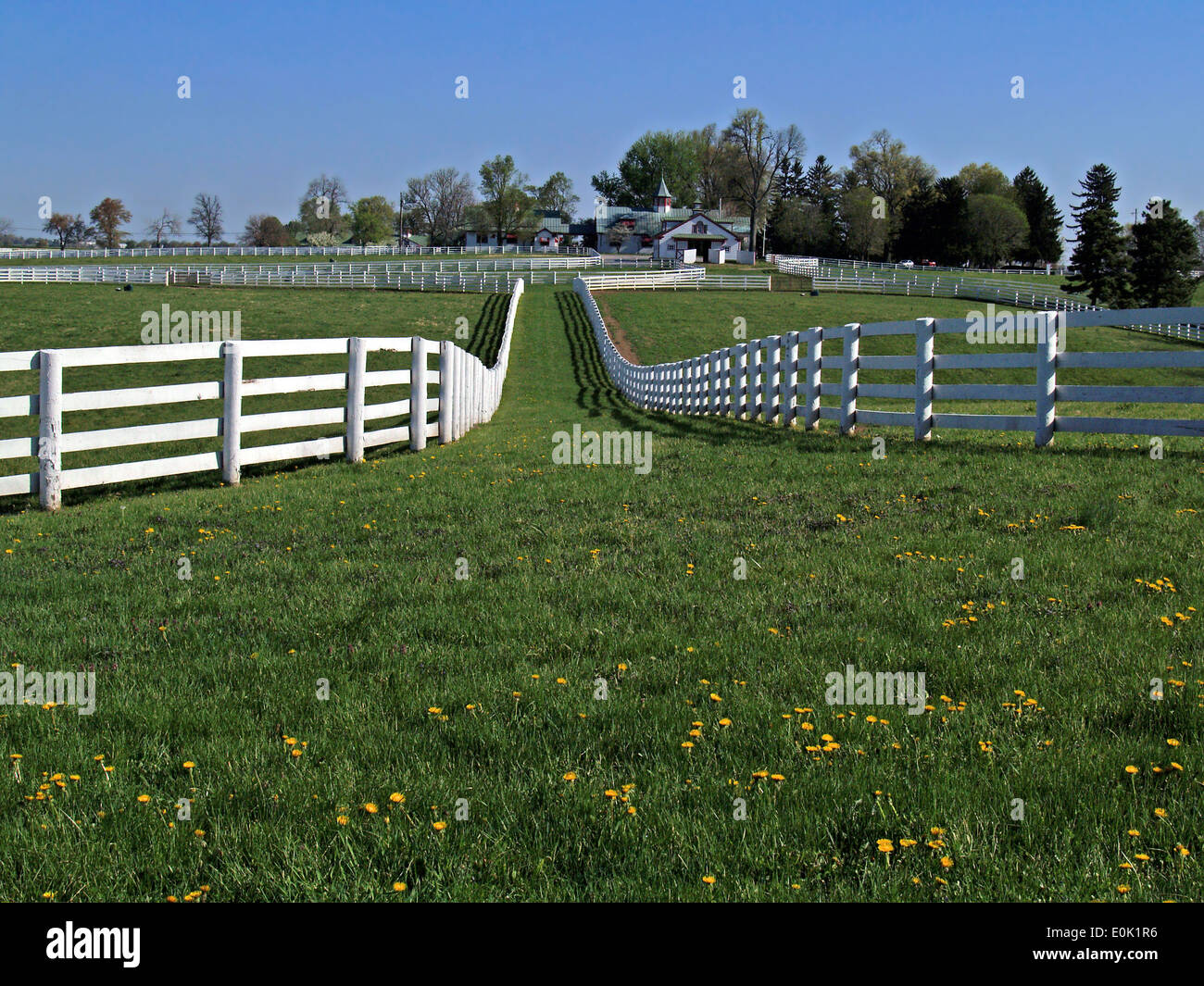 Manchester farm lexington kentucky usa hi-res stock photography and ...