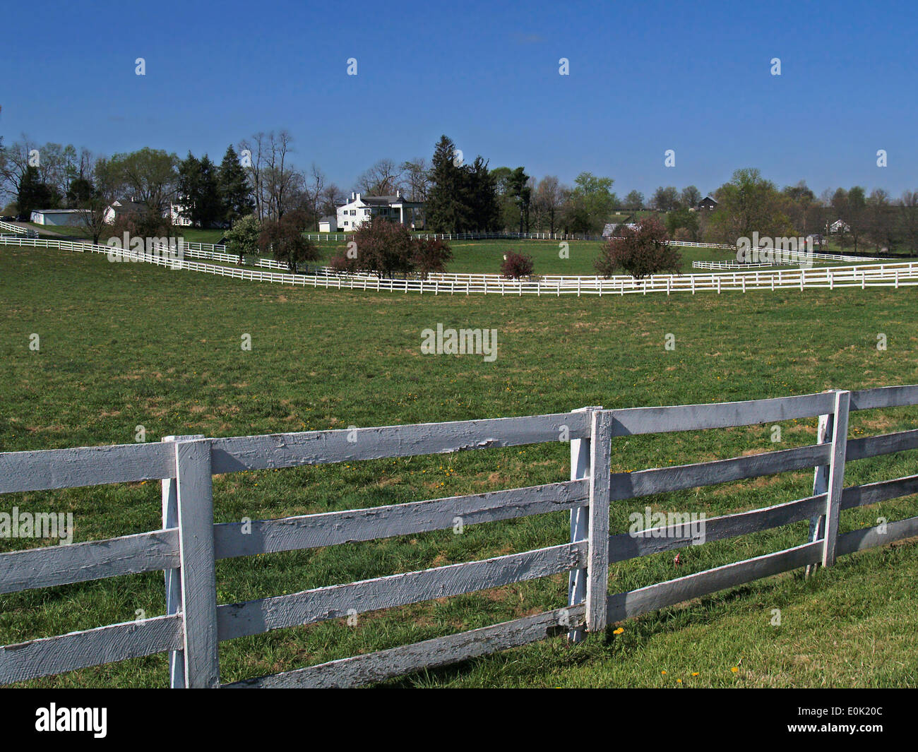 The antebellum mansion of Manchester Farms on the Bluegrass Country ...