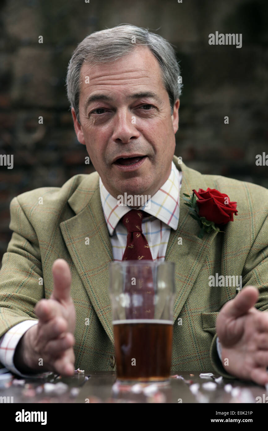 Black bull yarm hi-res stock photography and images - Alamy