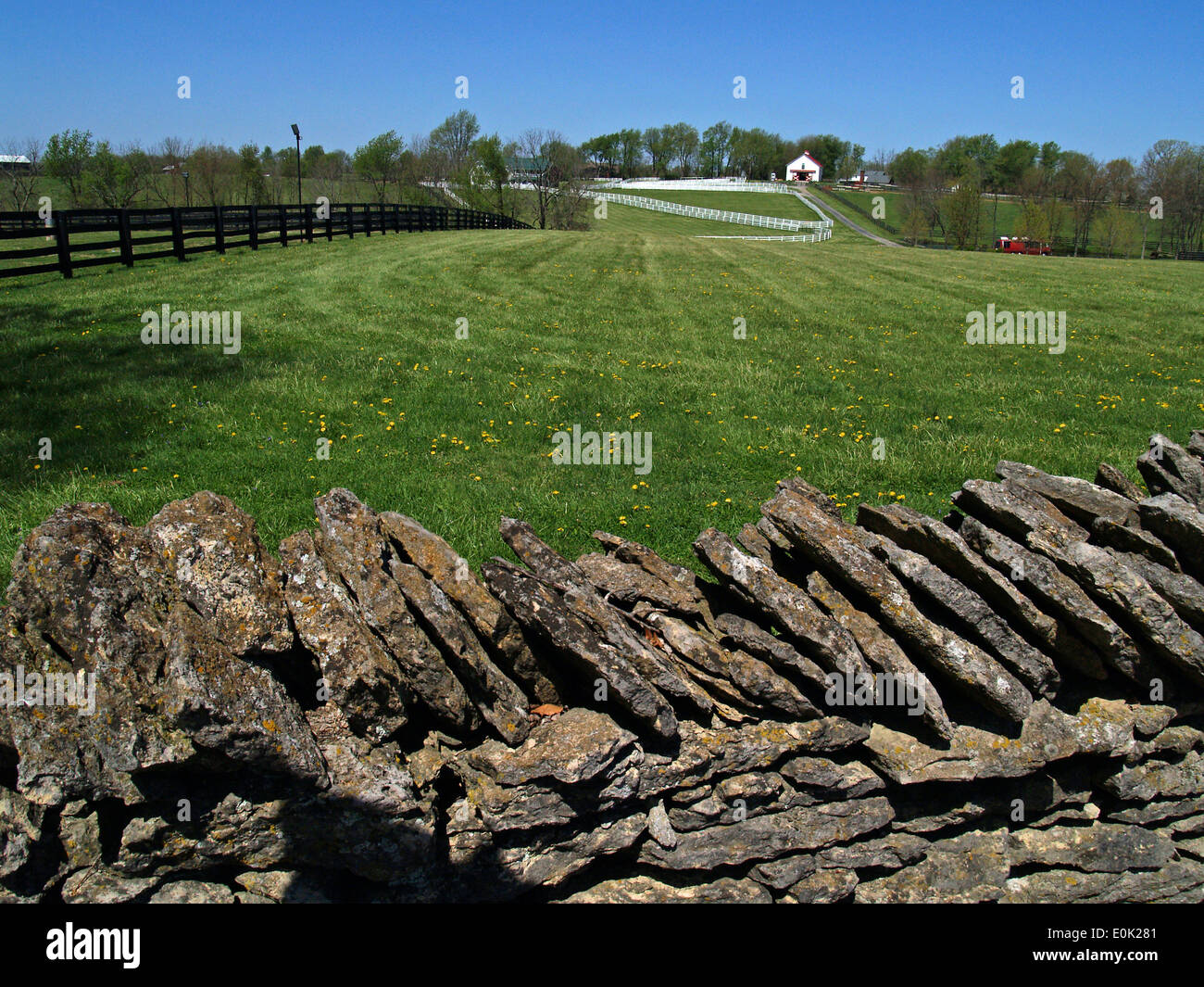 Stone fences and plank fences on a Thoroughbred farm outside of ...