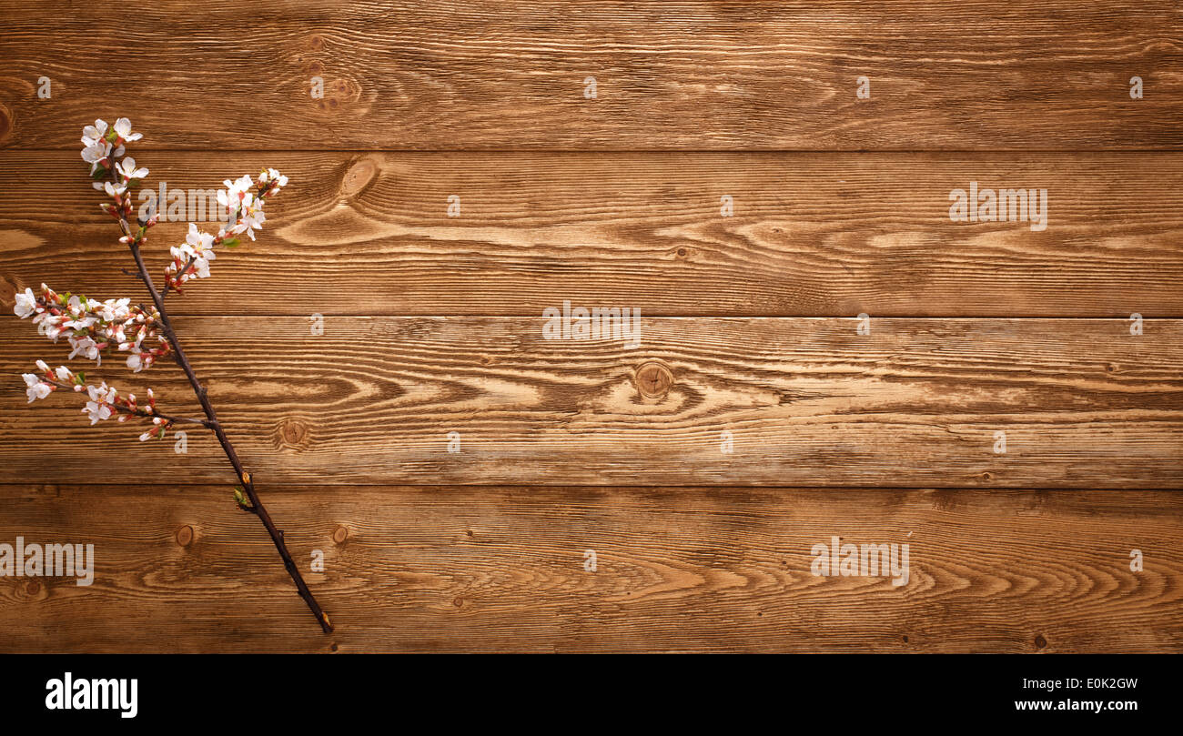 Flowers on wood texture background Stock Photo - Alamy