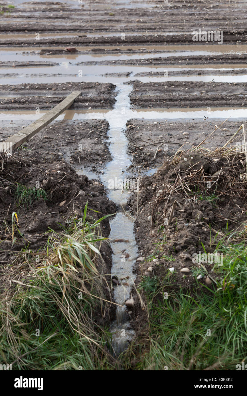 Draining water from a saturated field. A slow but simple method Stock ...