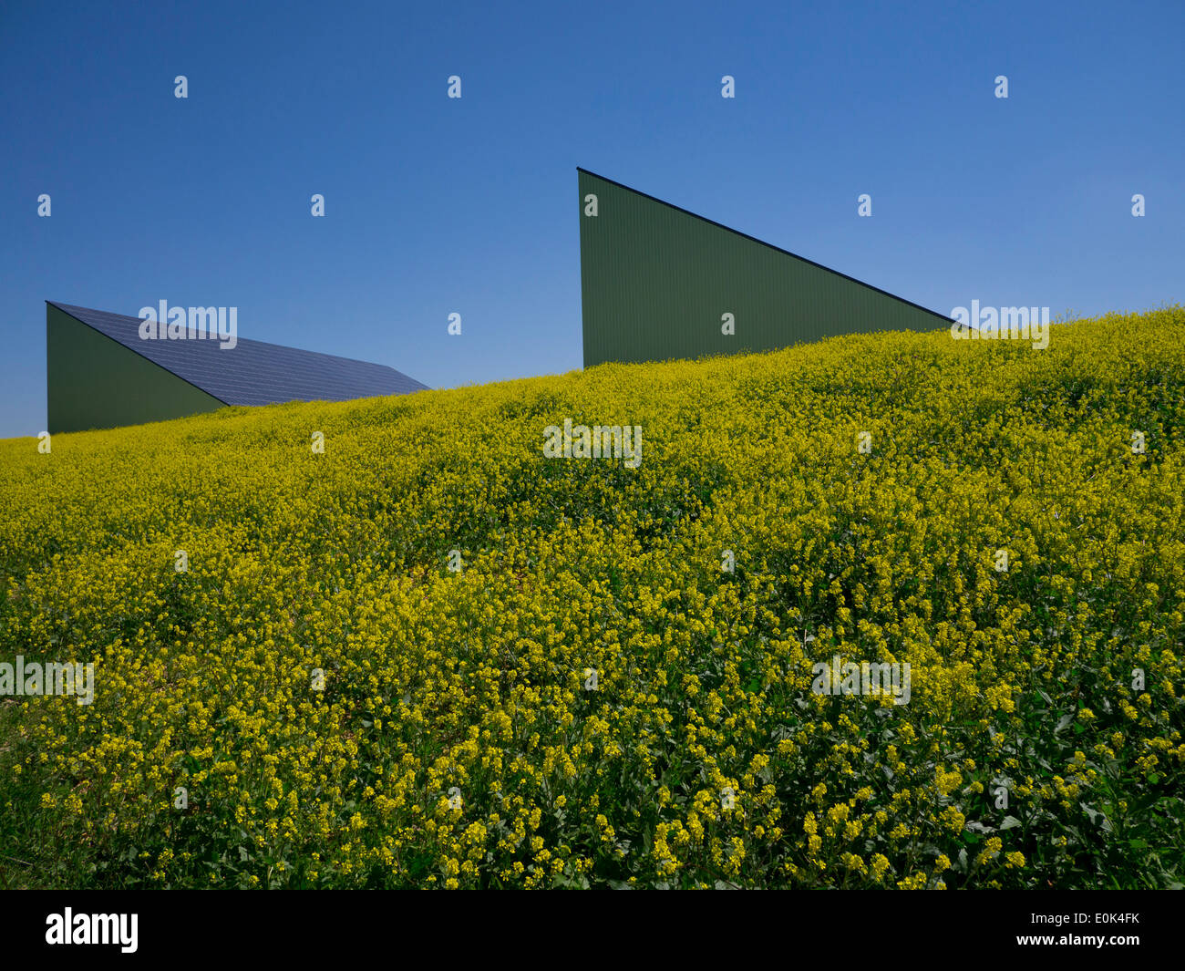 Many new buildings have sprung up across rural France to house huge ...