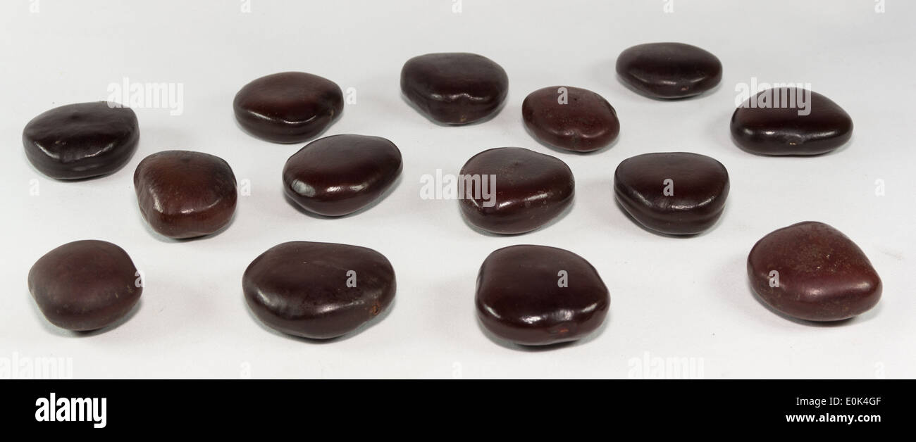 Entada rheedii hi-res stock photography and images - Alamy