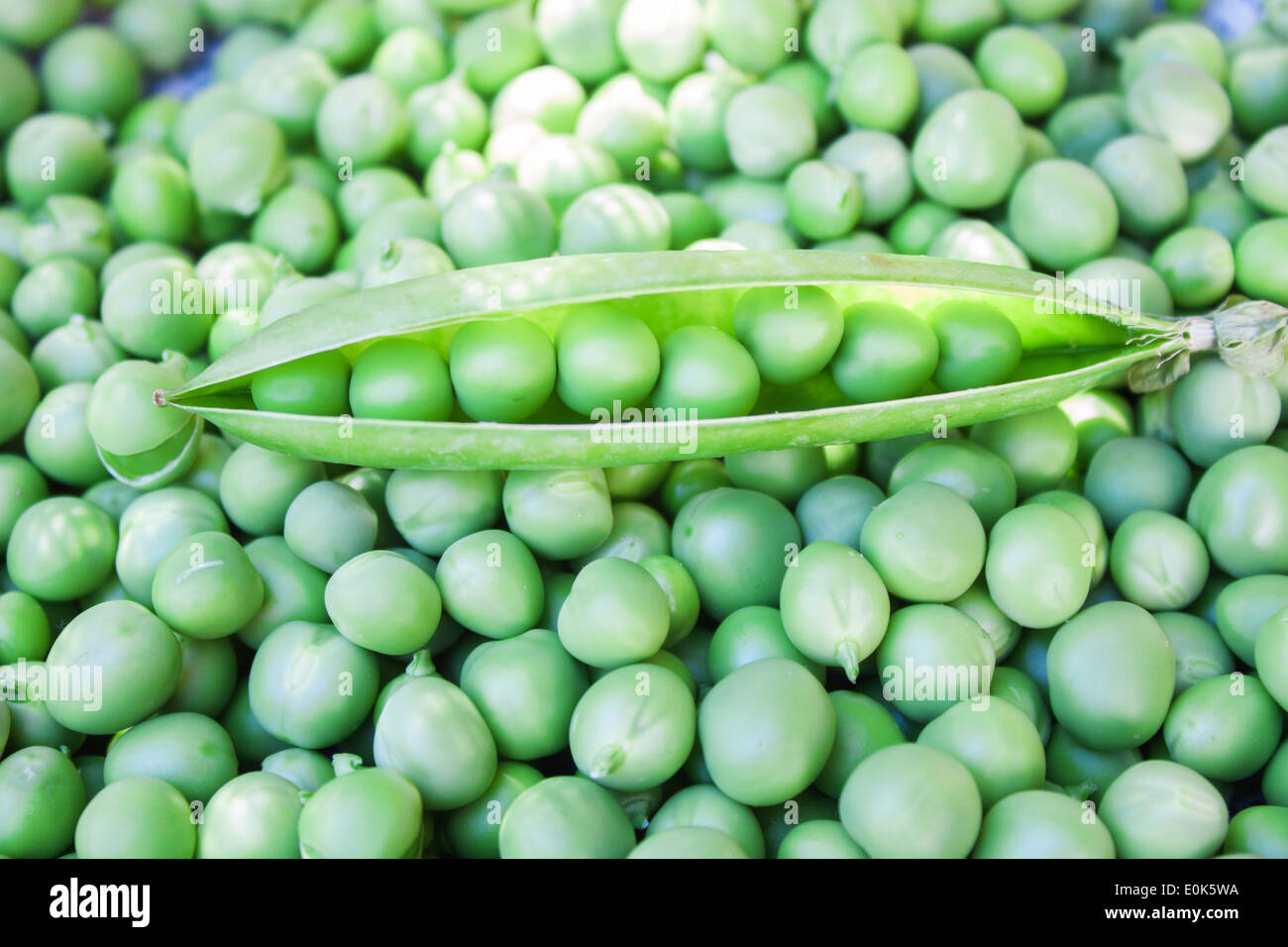Pea harvest hi-res stock photography and images - Alamy