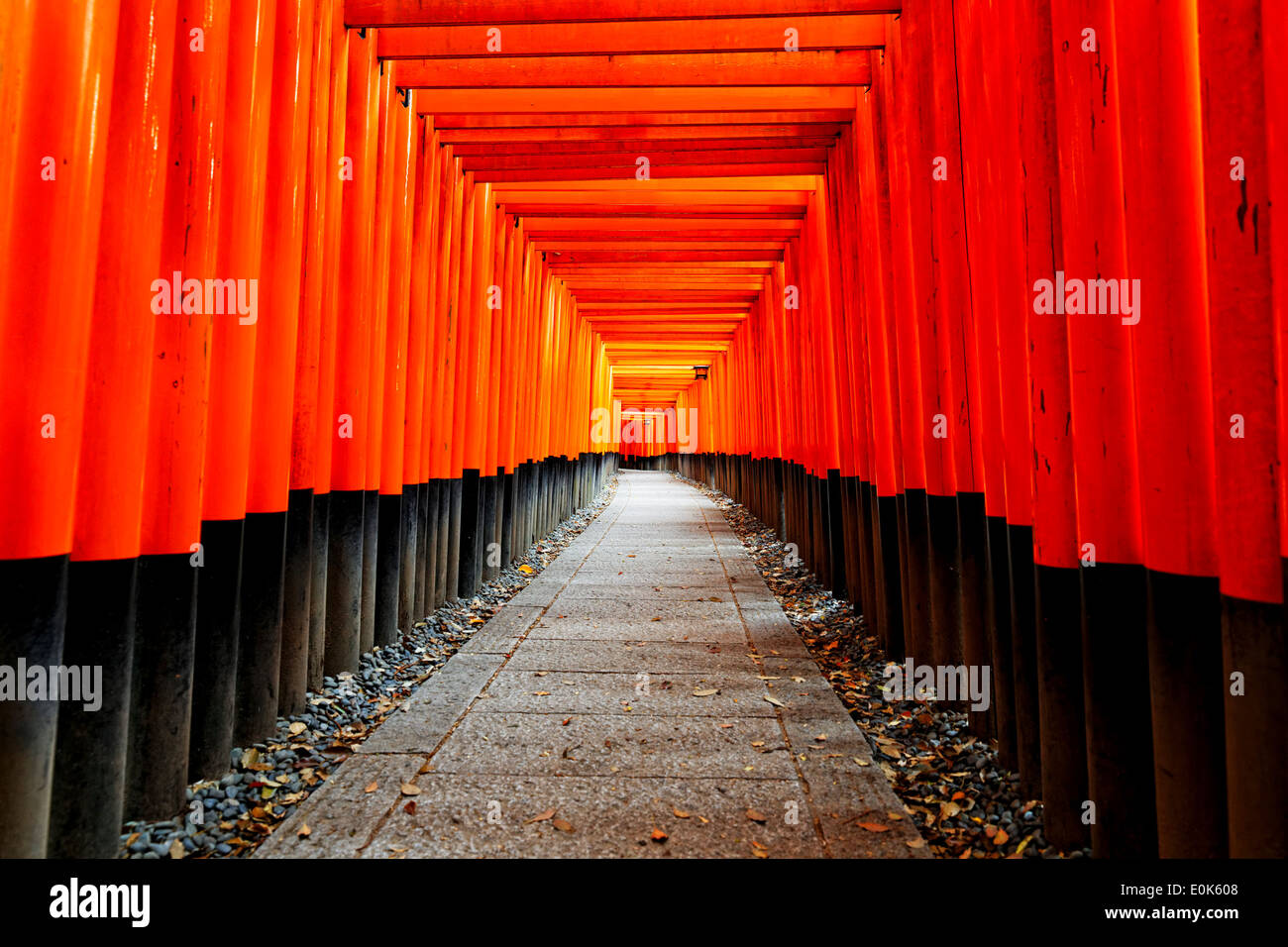 Fushimi Inari Taisha Shrine in Kyoto City, Japan Stock Photo - Alamy