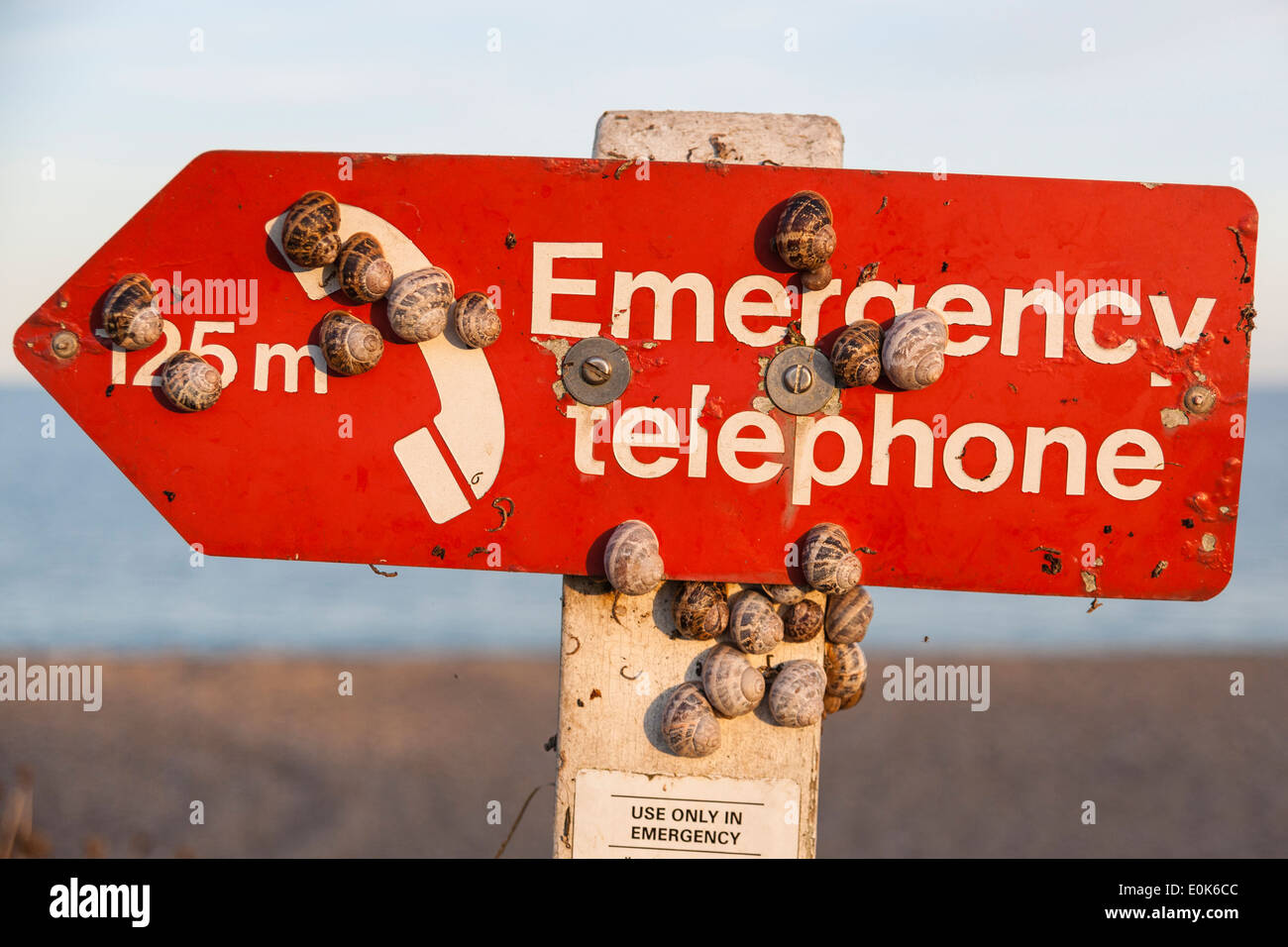 Emergency signpost hi-res stock photography and images - Alamy