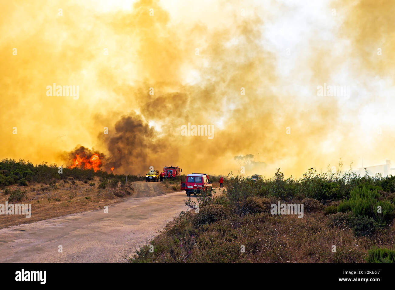 Fire forest flashpoint firestorm hi-res stock photography and images ...