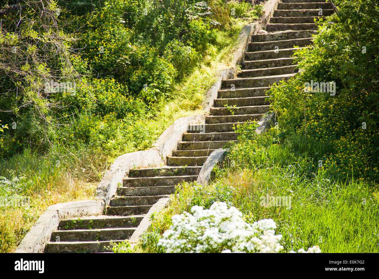 Stone footpath hi-res stock photography and images - Alamy