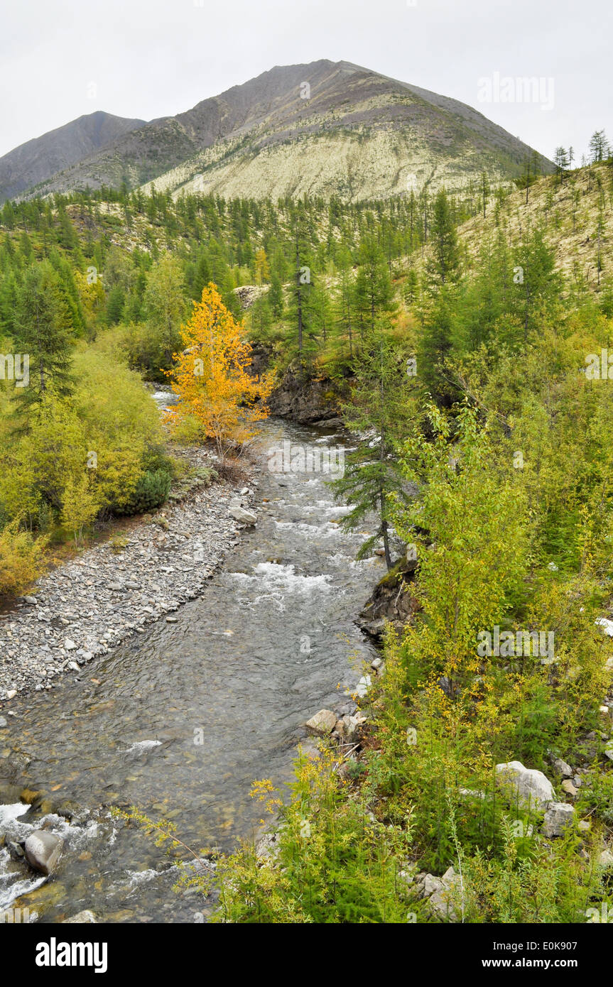 The river in mountains of Yakutia. Cloudy landscape on a route Yakutsk ...