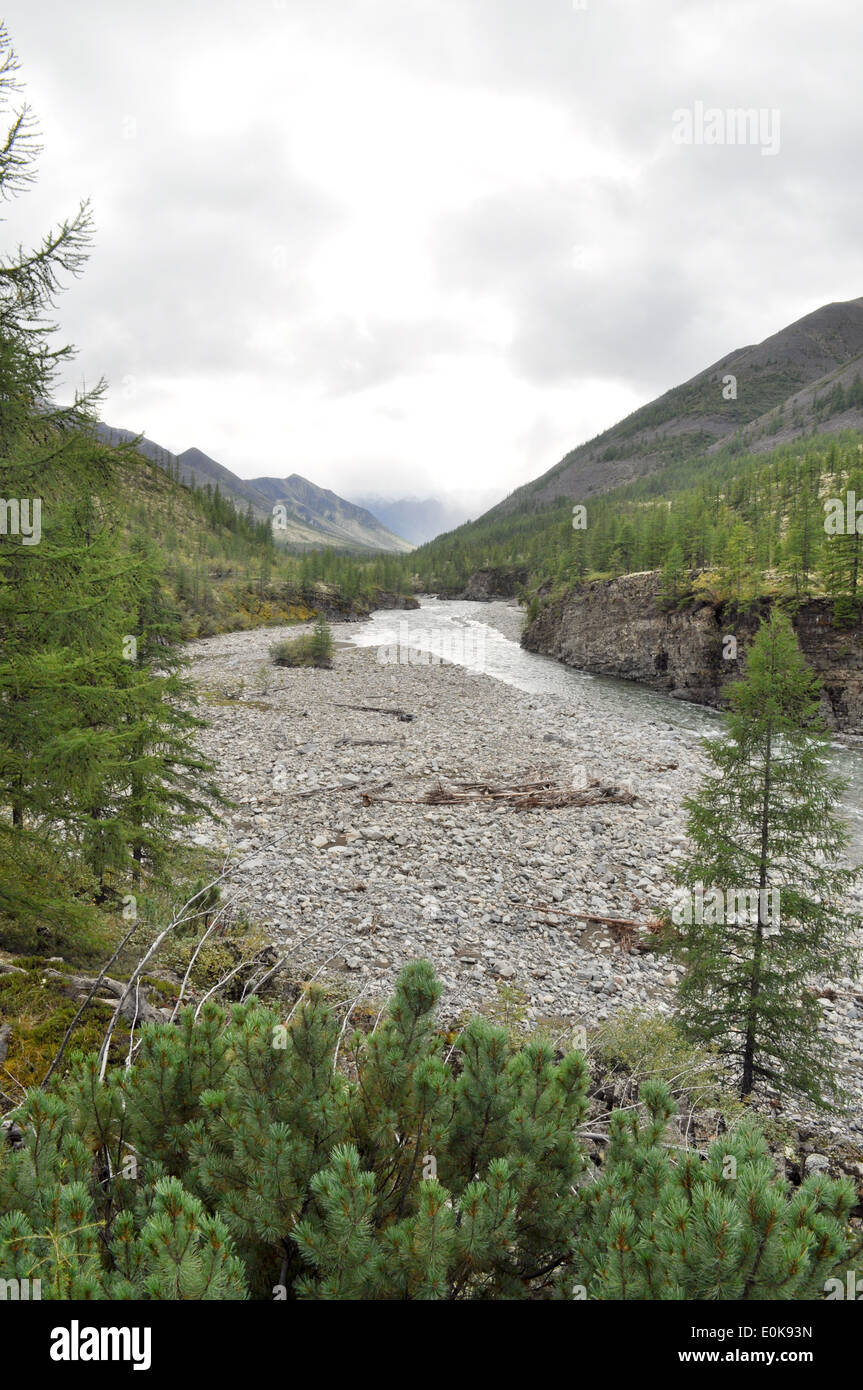 The river in mountains of Yakutia. Cloudy landscape on a route Yakutsk ...
