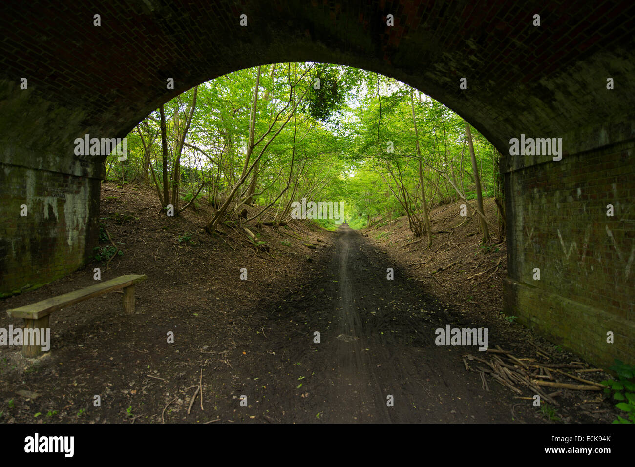 Bramley, UK. 15th May, 2014. Dappled afternoon sunlight behind an old ...