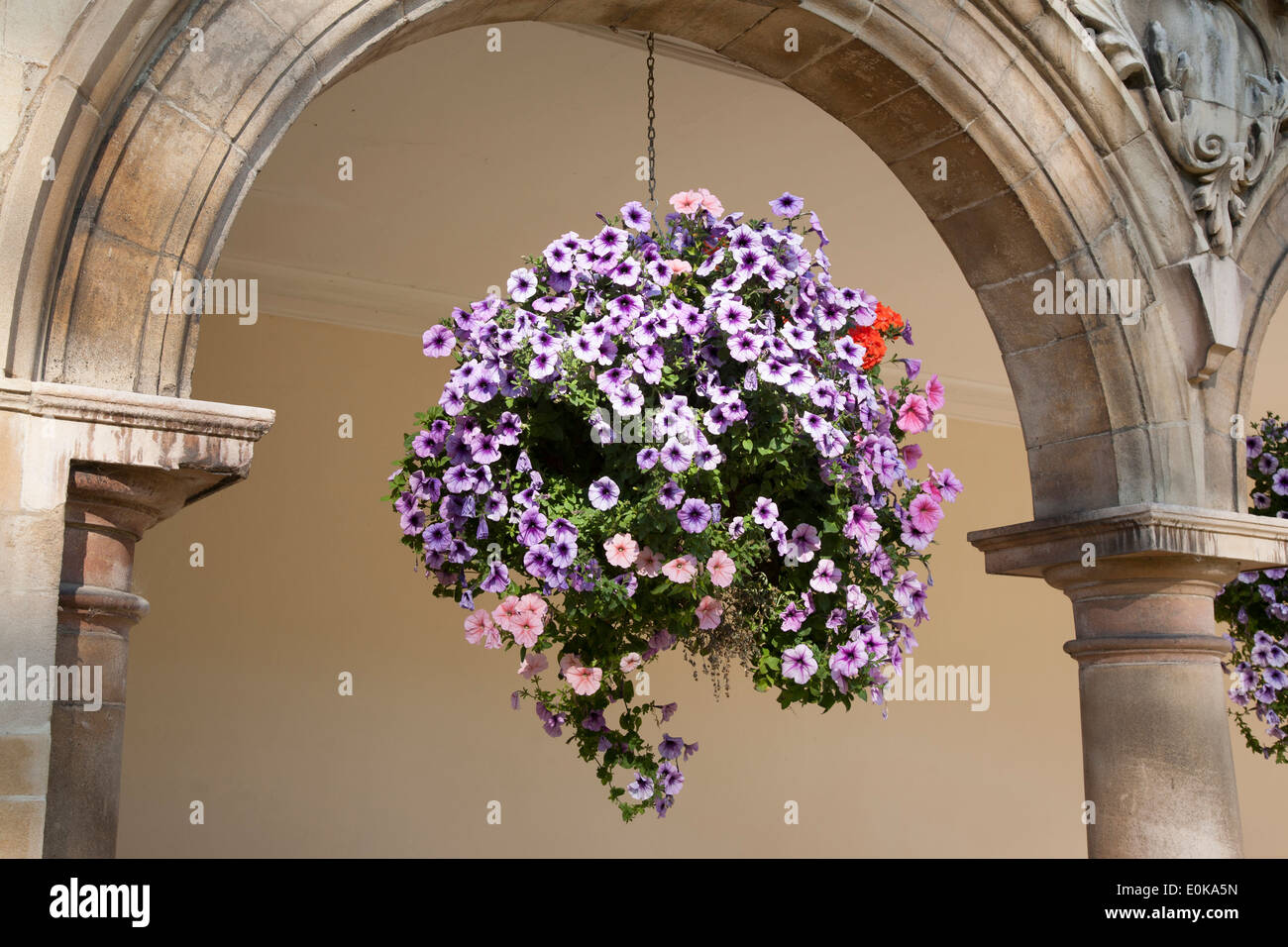 Pepys library hi-res stock photography and images - Alamy