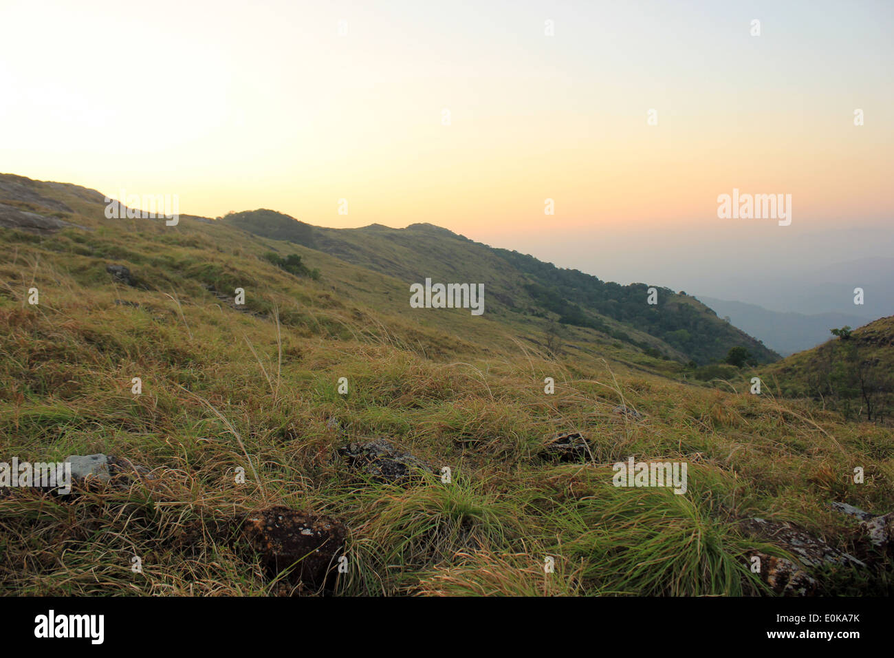 Ponmudi hi-res stock photography and images - Alamy