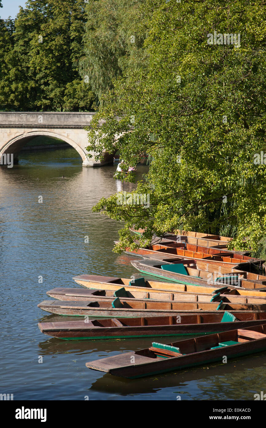 Punts on River Carn, Cambridge; England Stock Photo - Alamy