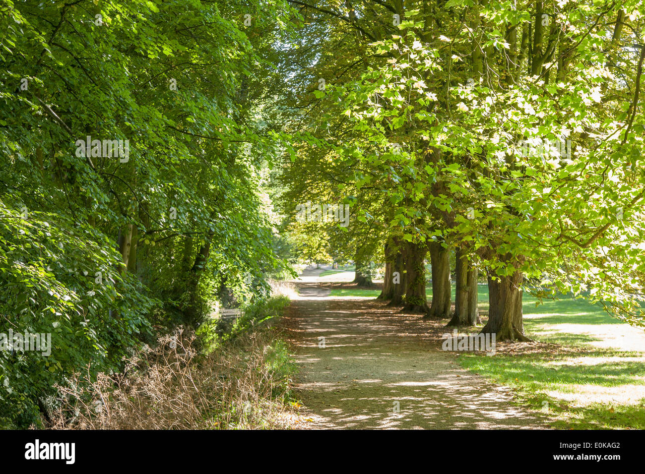 Footpath in Park in England, UK Stock Photo - Alamy