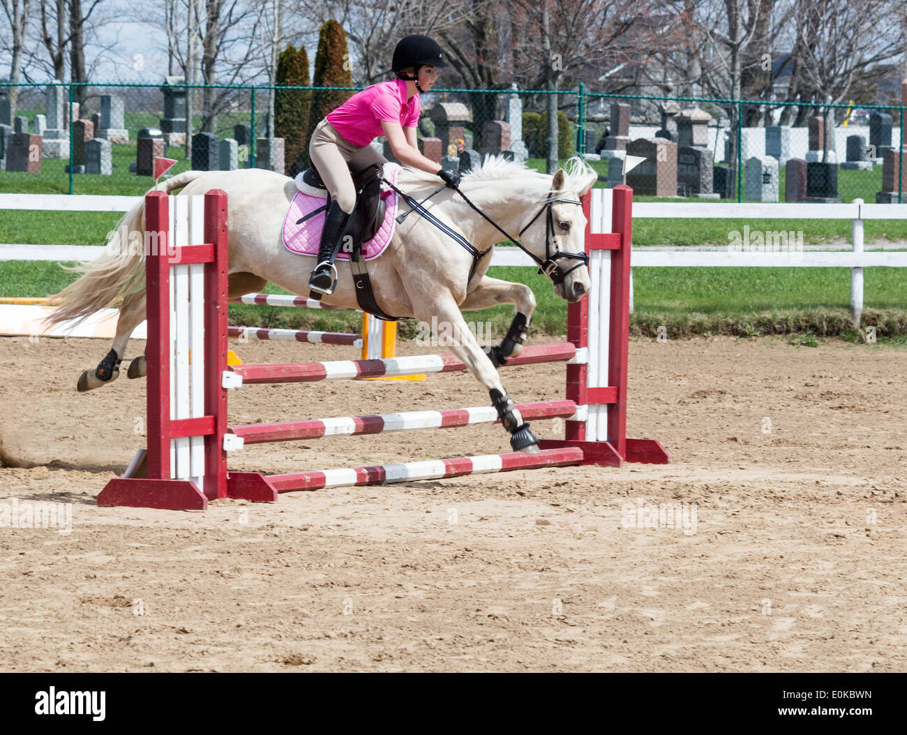 Teenage girl rider on a Palomino horse pony clearing jump at a local ...