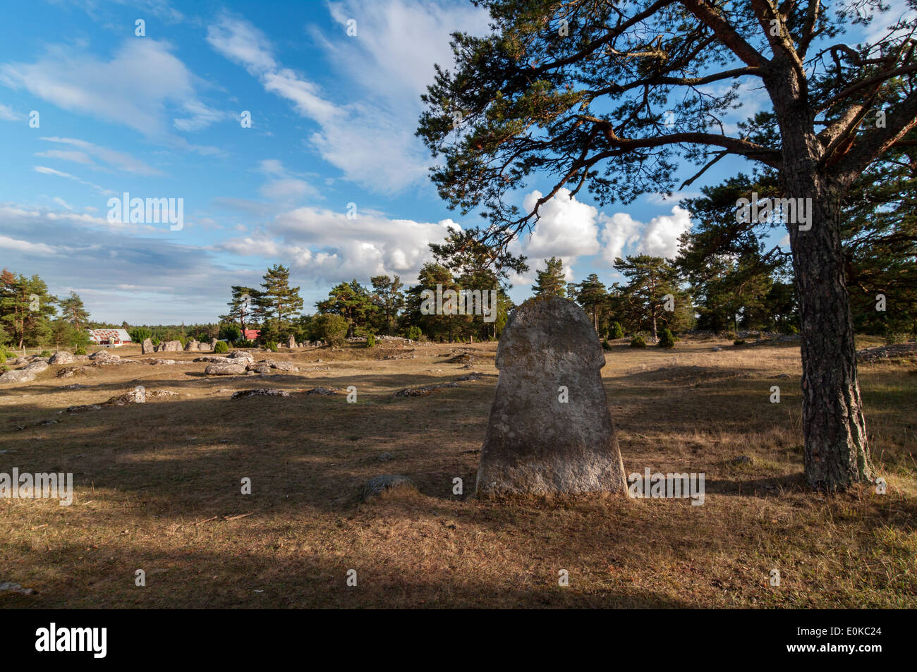 Gotland stone hi-res stock photography and images - Alamy