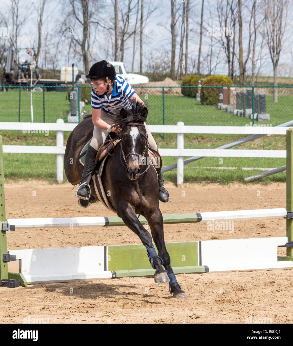 Bay horse pony with teenage boy jumping over show fence at local jumper ...