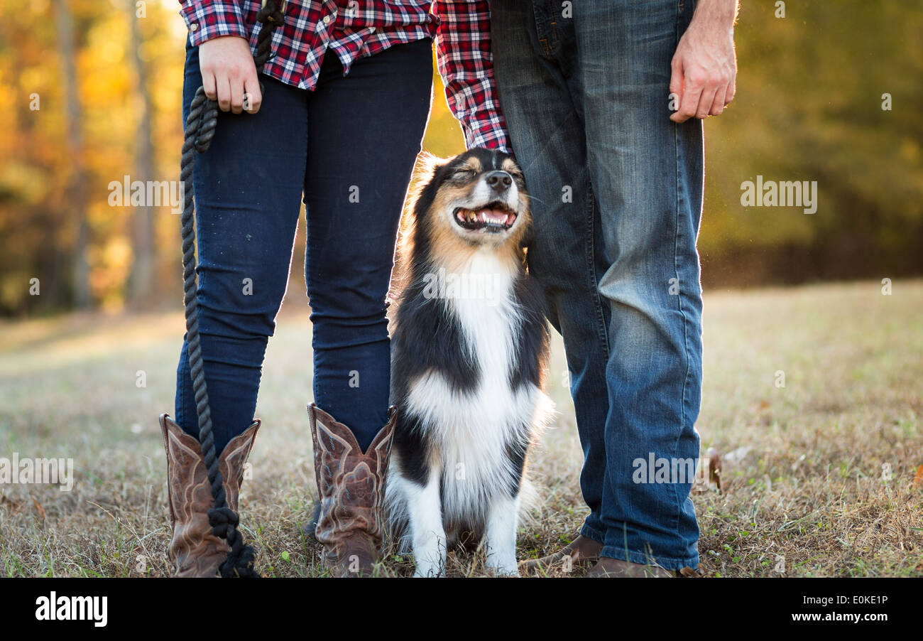 Beautiful Couple on a Farm with their dog and horse - no faces Stock ...