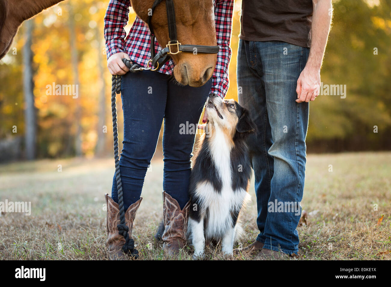 Beautiful Couple on a Farm with their dog and horse - no faces Stock ...