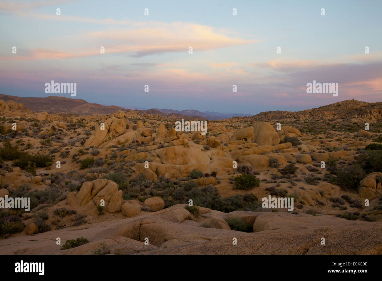 A sunset Joshua Tree National Park in Southern California, USA Stock ...