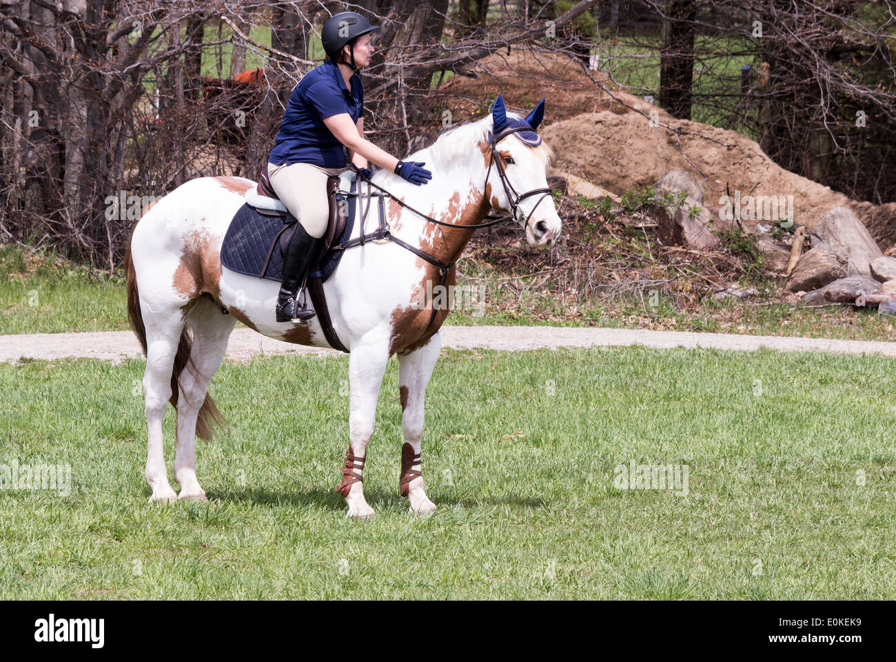 English Horse Riding Tack