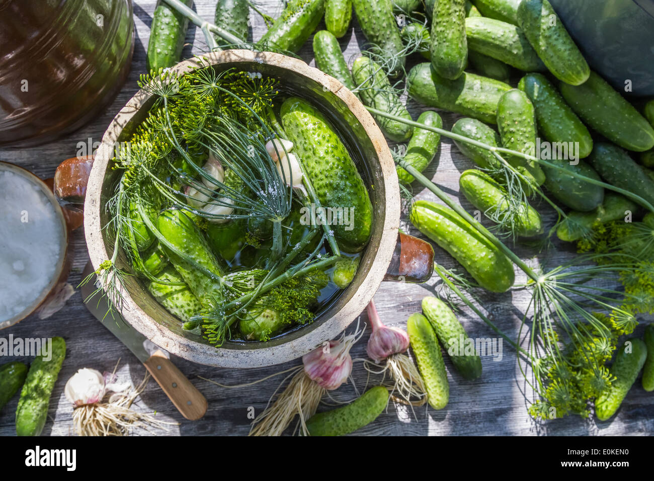 Pickling cucumbers in the countryside Stock Photo - Alamy