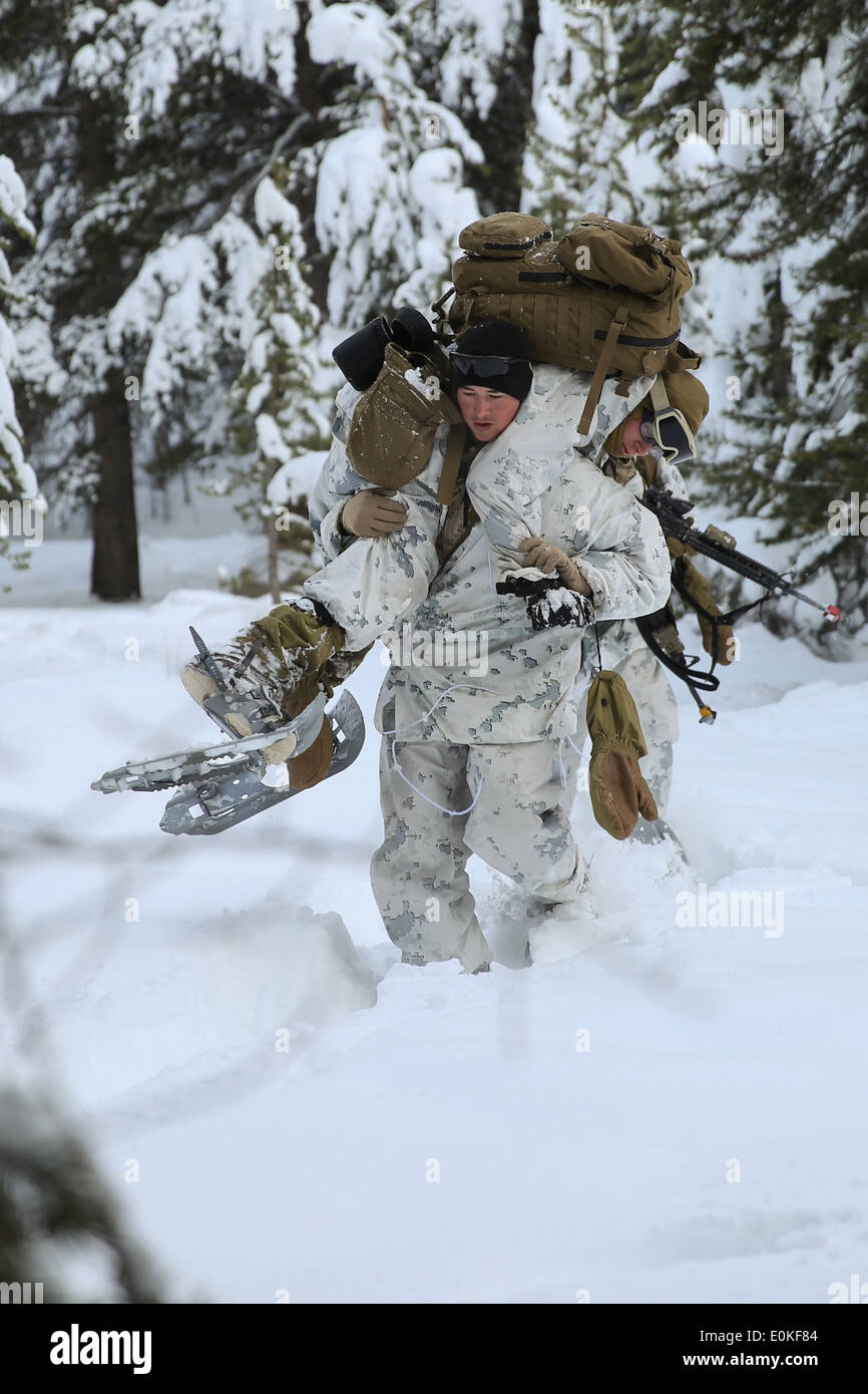 Lance Cpl. Jordan Gruskin carries Pfc. Michael Humer as a simulated ...