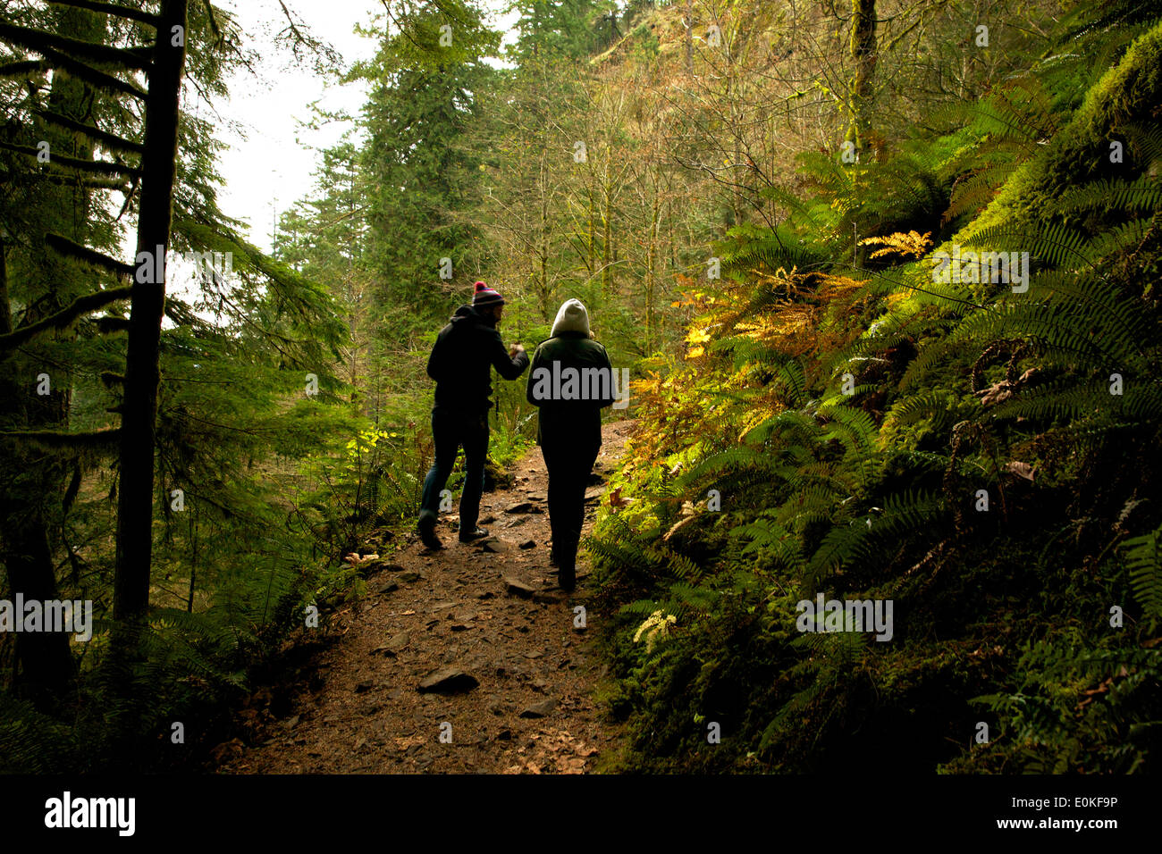 A couple walks along a forest path in the lush green landscape of the ...