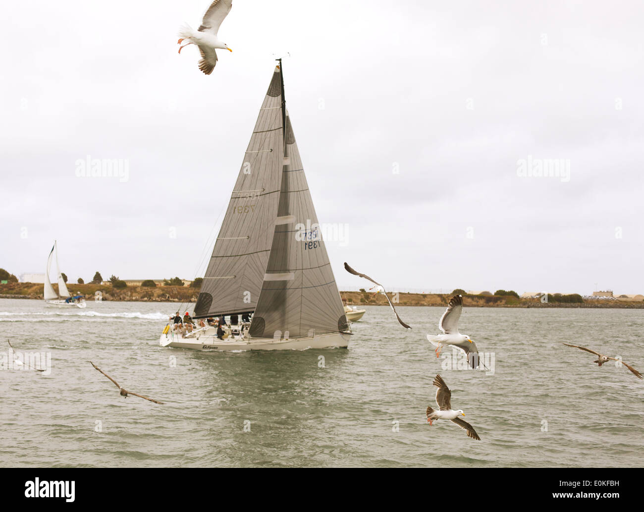 A group of people sailing on choppy water on the Pacific Ocean off the ...