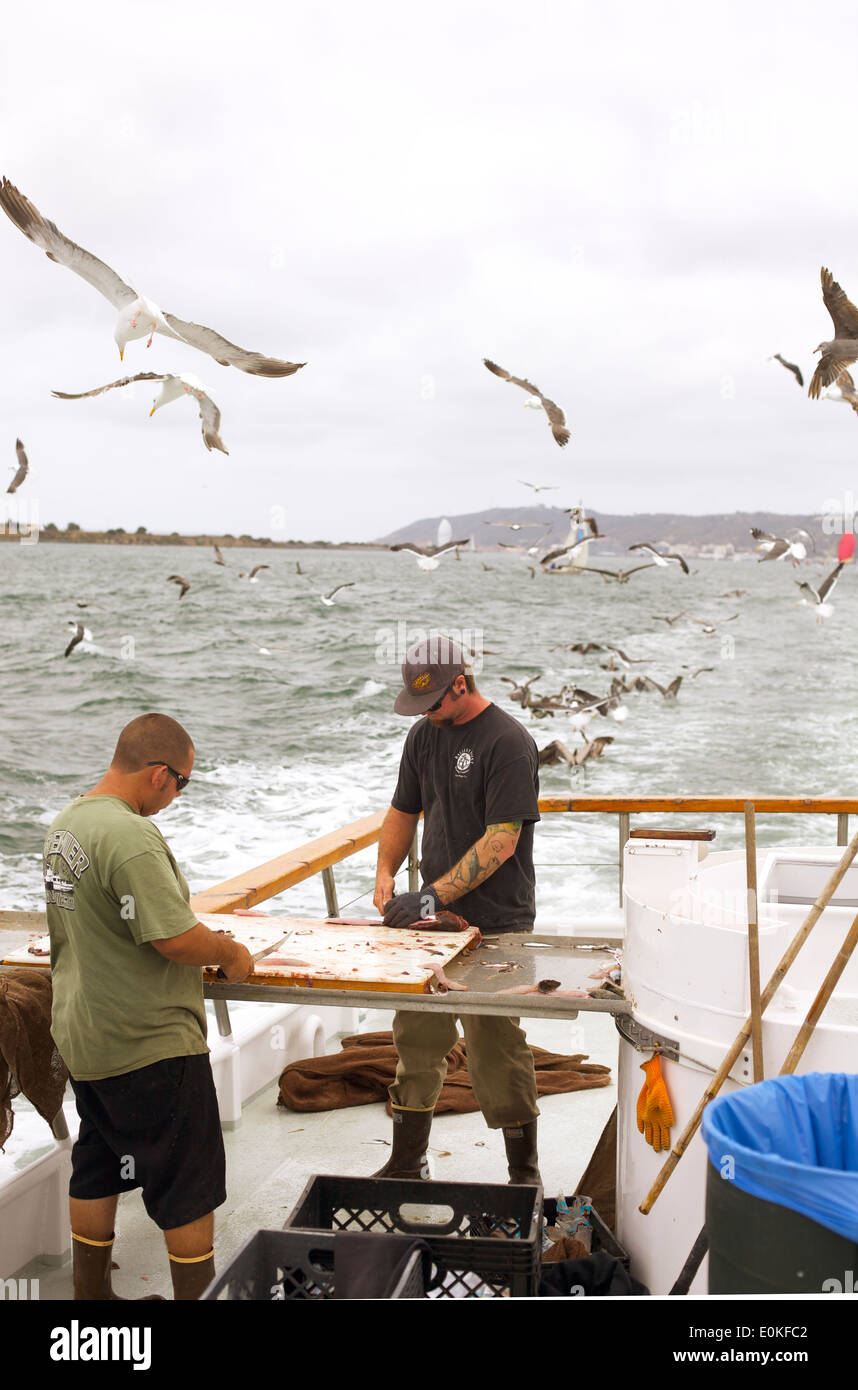 Two men filleting fish hi-res stock photography and images - Alamy