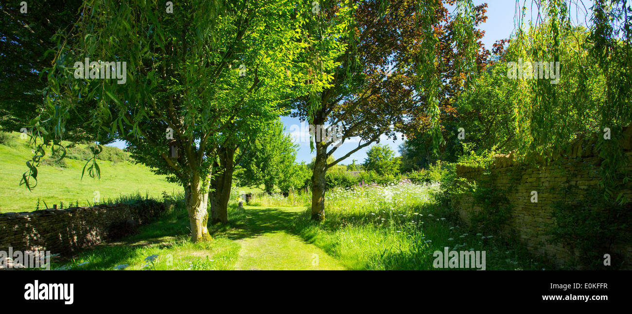 Garden uk trees summer sunshine hi-res stock photography and images - Alamy