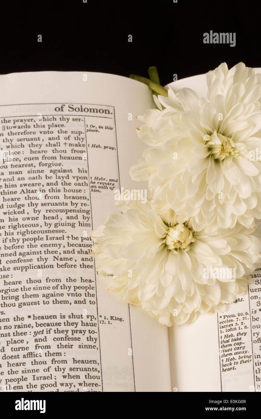 Two flowers on an open Bible, close up Stock Photo - Alamy