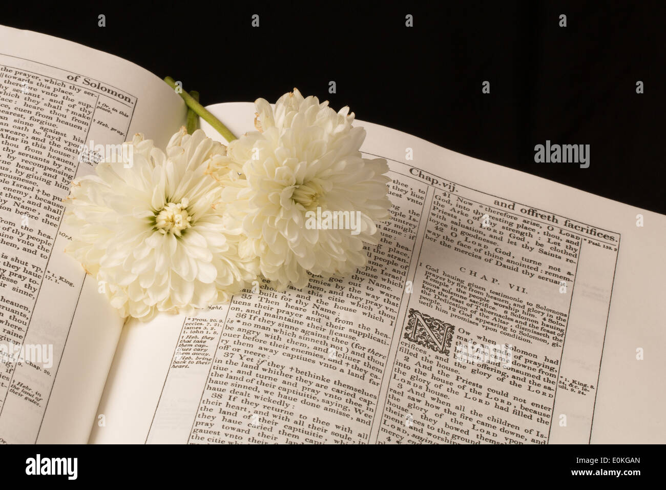 Two flowers on open Bible Stock Photo - Alamy