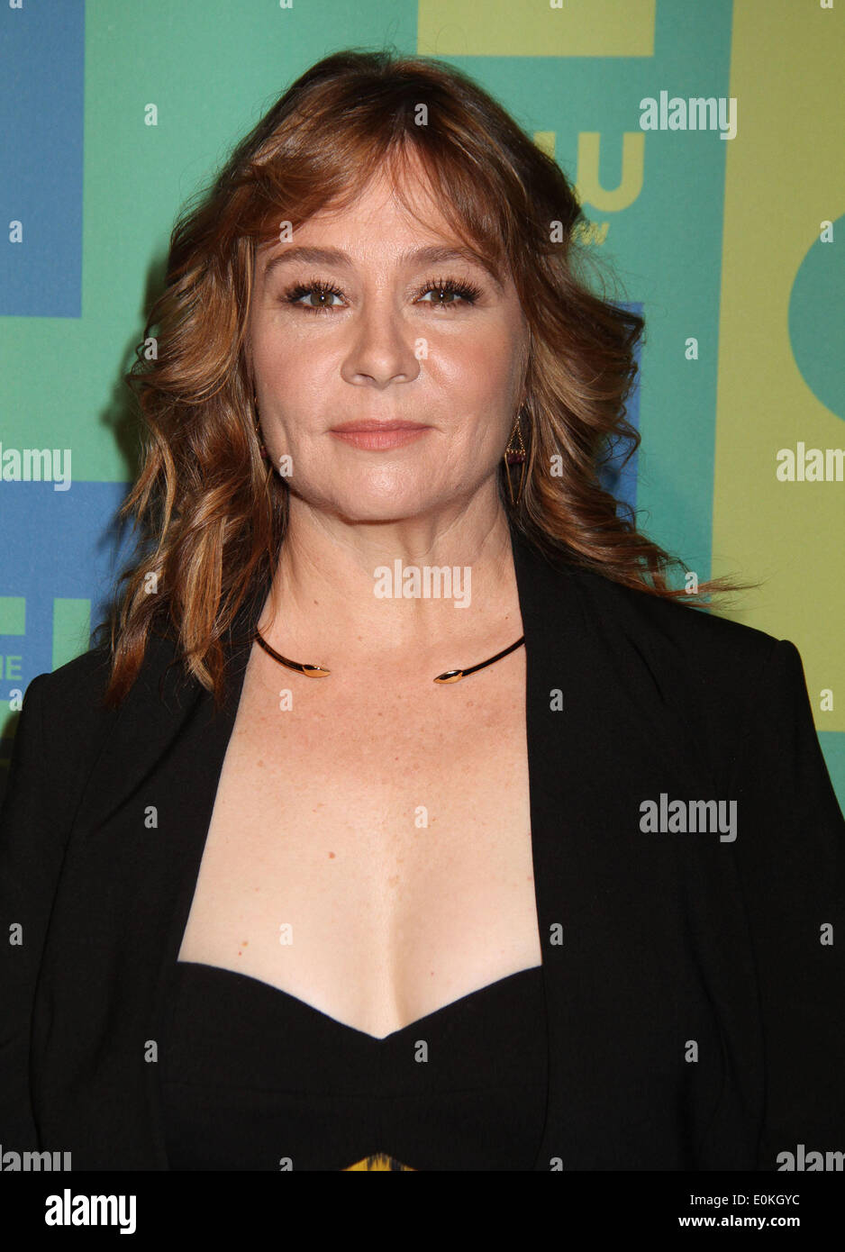 May 14, 2014 - New York, New York, U.S. - Actress MEGAN FOLLOWS attends ...